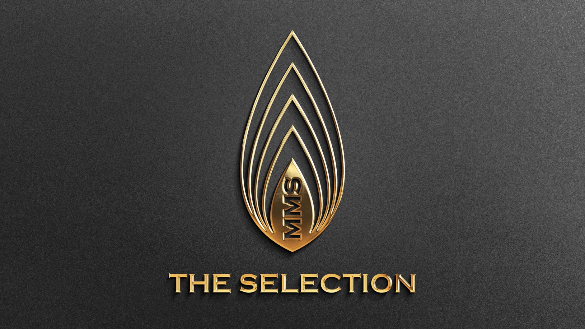 The Selection: Meerapfel’s Fresh Identity in the Cigar World | Cigar ...